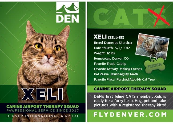DEN Introduces First Feline Member to the Canine Airport Therapy Squad ...
